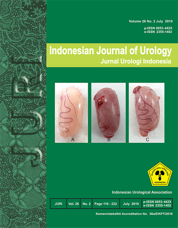Archives | Indonesian Journal of Urology
